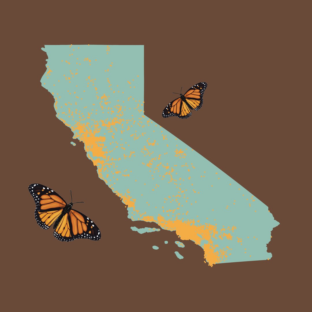 Wildlife Distribution Map, Customizable Digital Design - Etsy