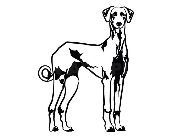 Greyhound Dog Svg 01 Clipart Image Cricut Svg Image Dxf - Etsy