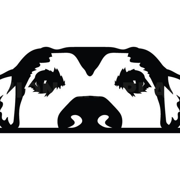 Peeking Lab Svg - Etsy