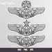 Air Force Enlisted Aircrew Wings - SVG EPS PNG - Vector File - Etsy