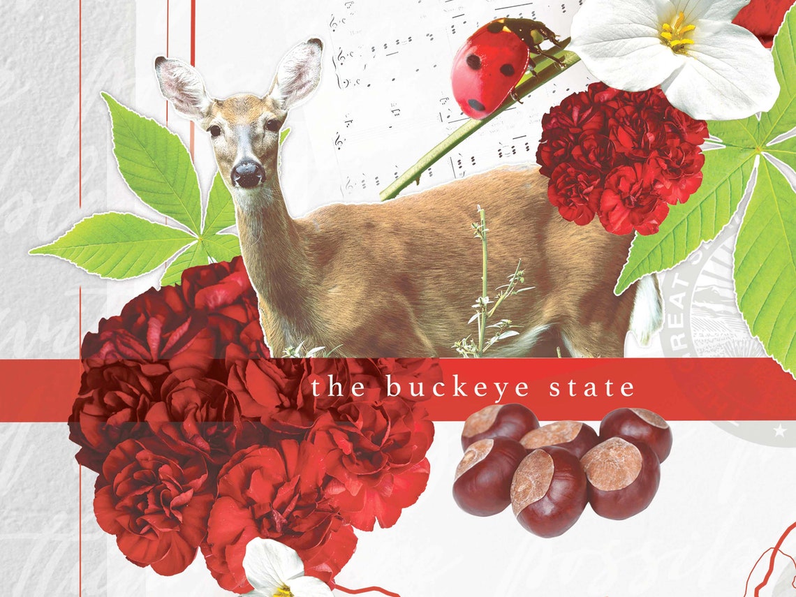 OHIO State Symbols Printable *DIGITAL DOWNLOAD* + "the Buckeye State ...