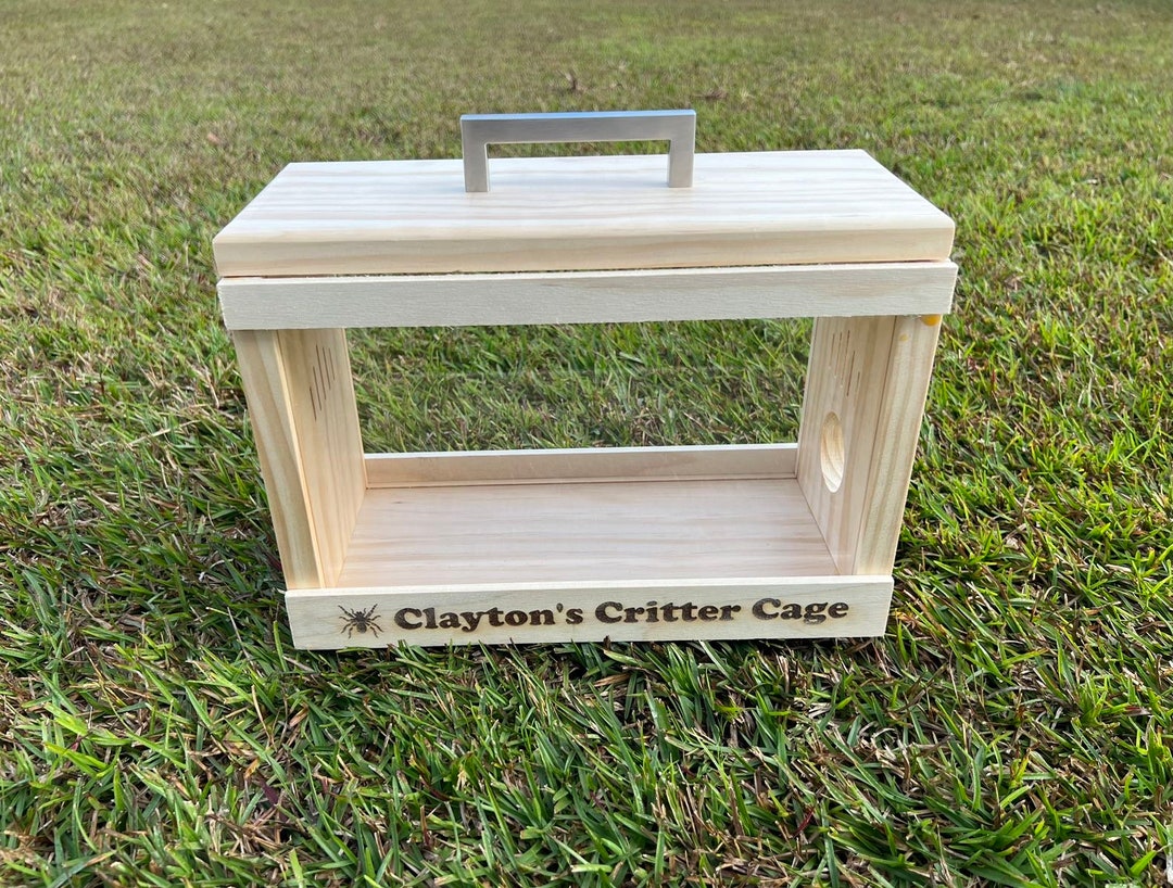 Personalized Bug Box Bug Box for Children Critter Cage - Etsy