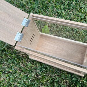 Personalized Bug Box | Bug Box for Children | Critter Cage | Reptile ...