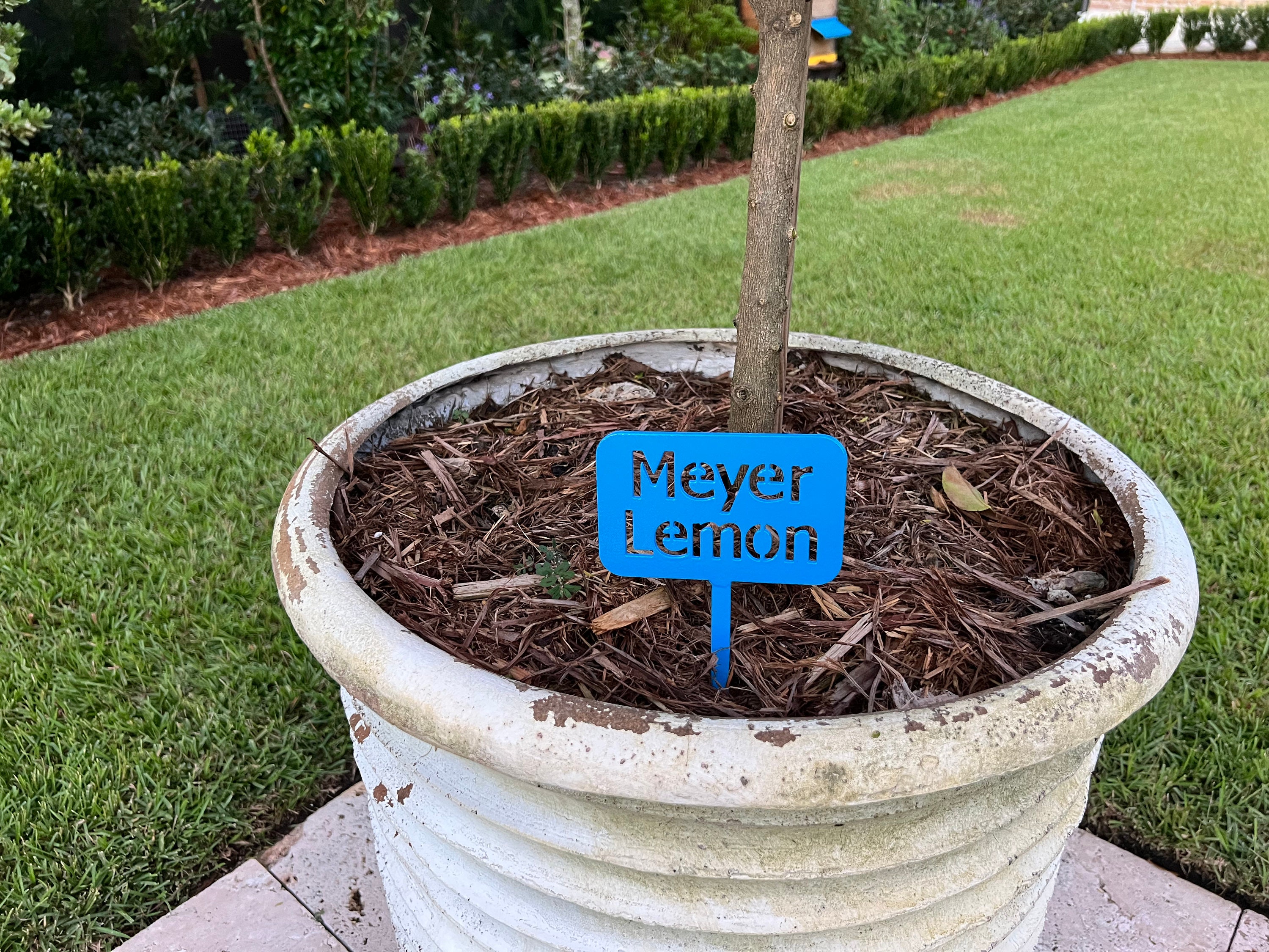 Plant Markers Citrus Tree Markers Garden Signs - Etsy