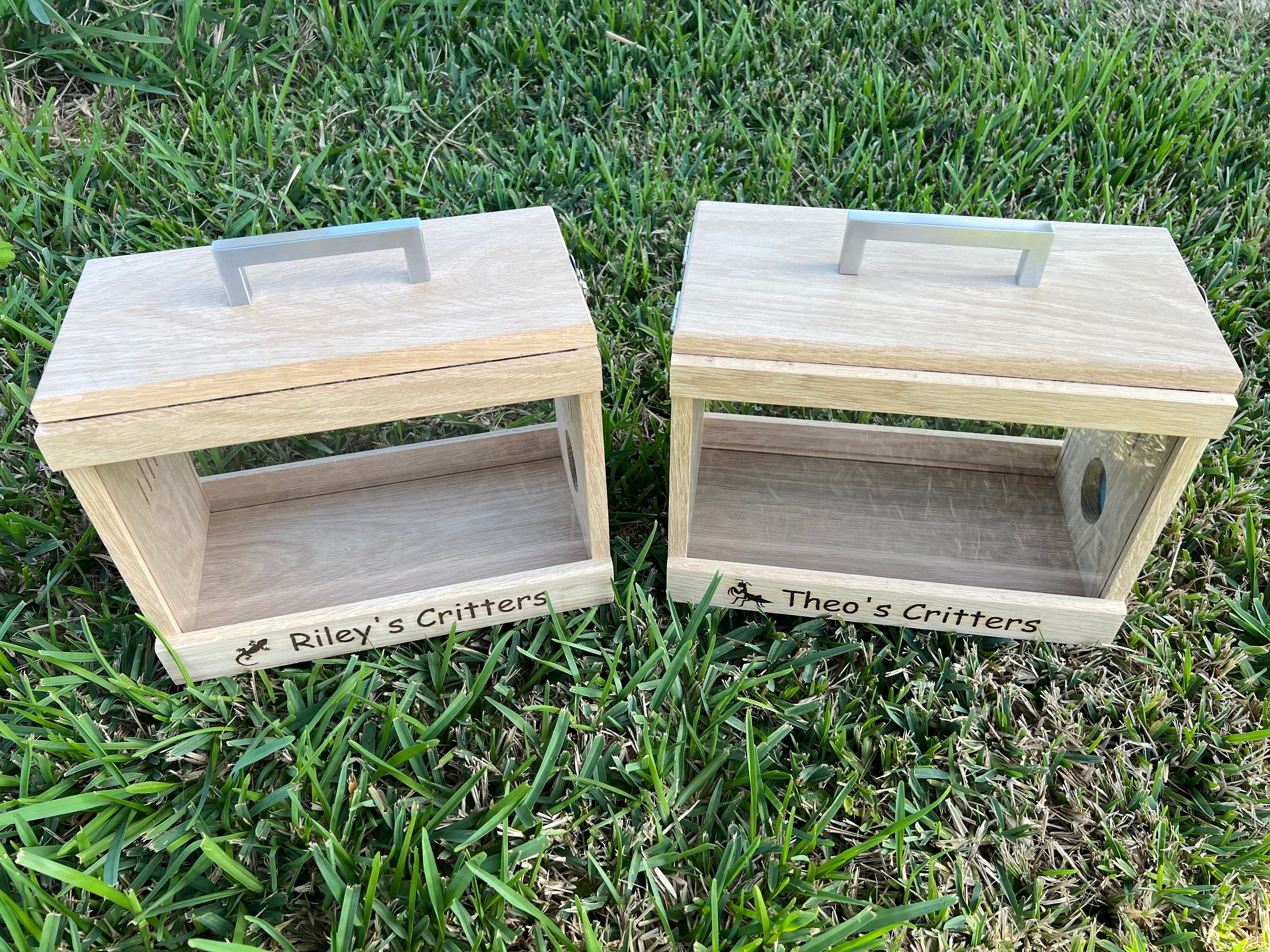 Personalized Bug Box | Bug Box for Children | Critter Cage | Reptile ...