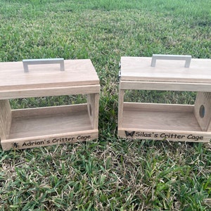 Personalized Bug Box | Bug Box for Children | Critter Cage | Reptile ...