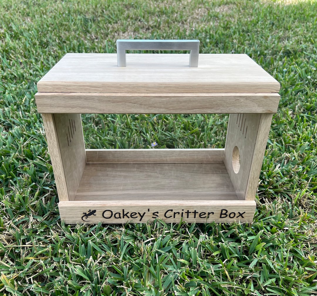 Personalized Bug Box | Bug Box for Children | Critter Cage | Reptile ...