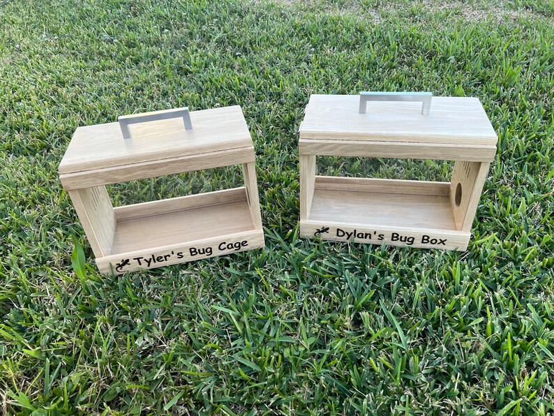 Personalized Bug Box | Bug Box for Children | Critter Cage | Reptile ...