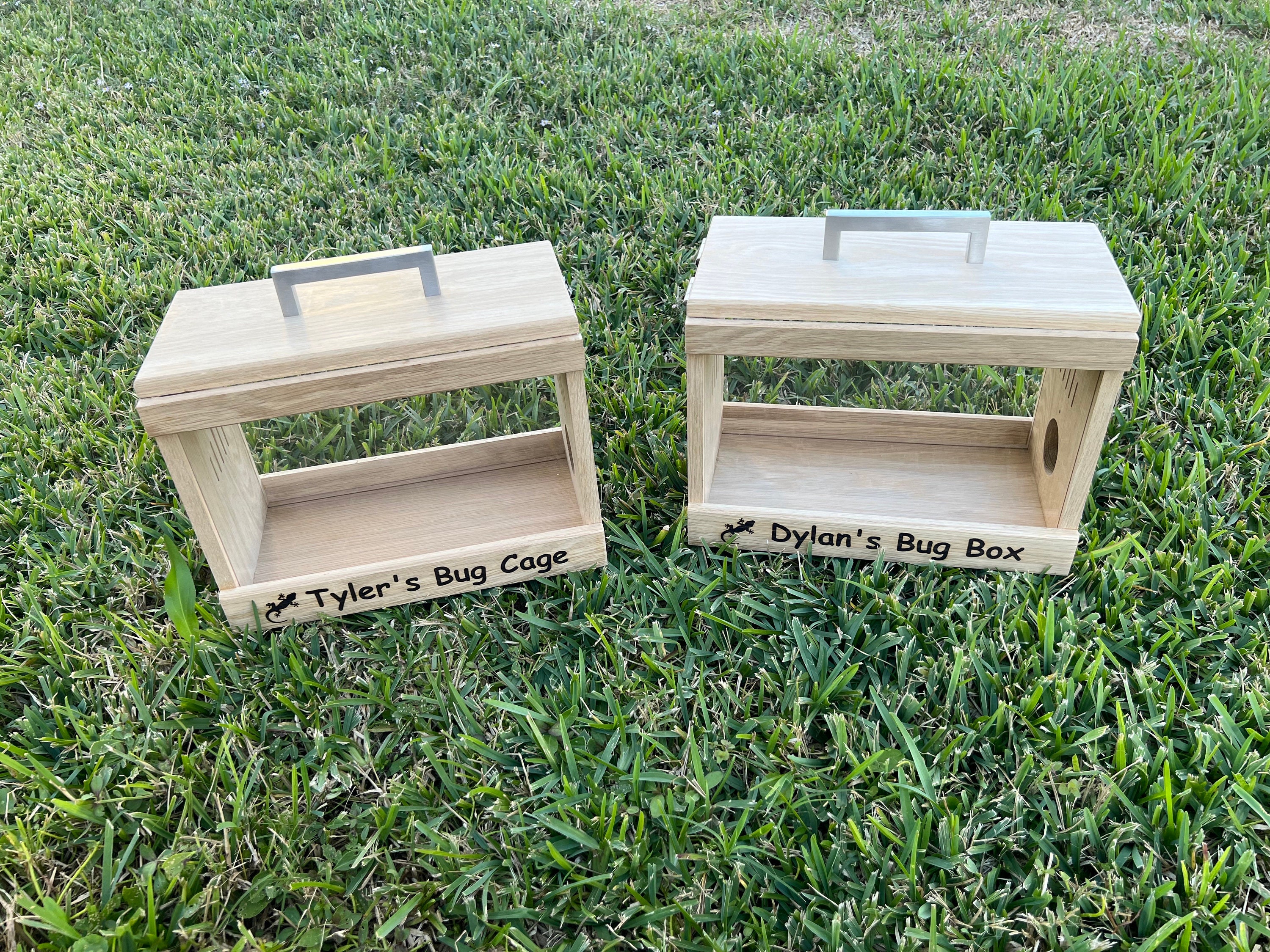 Personalized Bug Box | Bug Box for Children | Critter Cage | Reptile ...