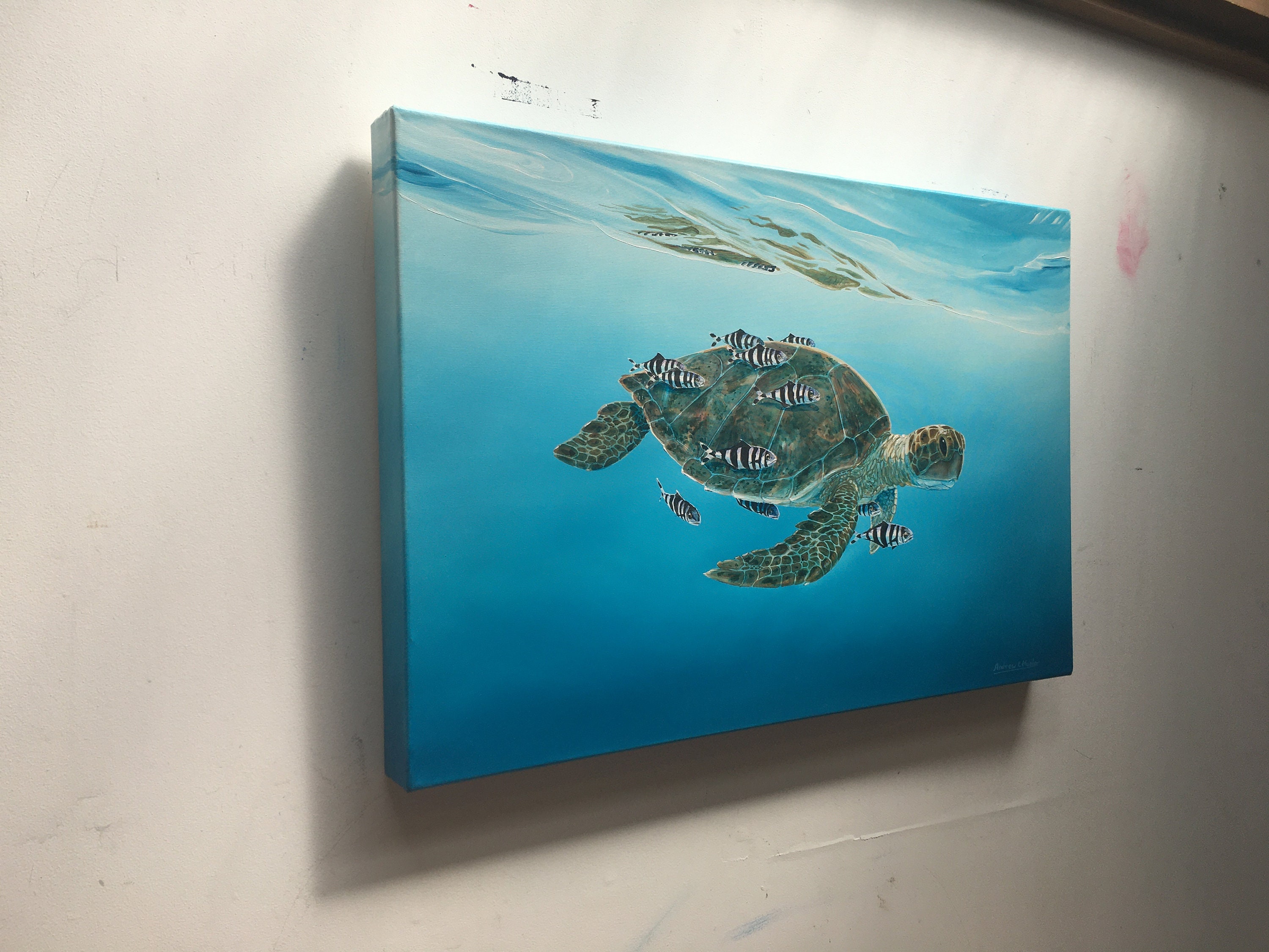 Green Turtle & Pilot Fish - Etsy