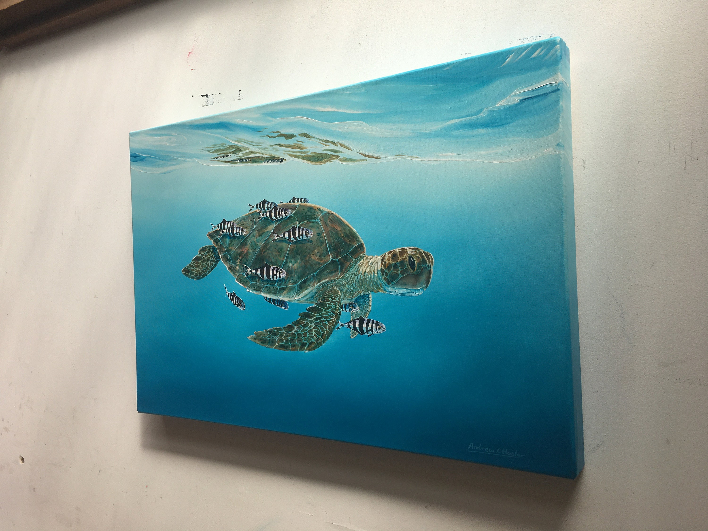 Green Turtle & Pilot Fish - Etsy