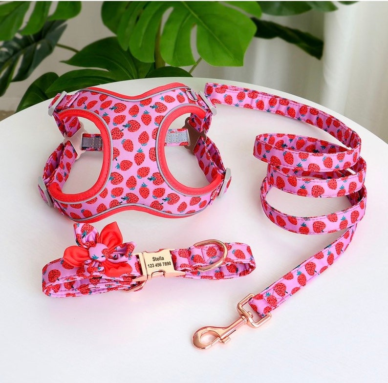 Personalized Dog Harness Set Dog Harness and Leashpuppy - Etsy
