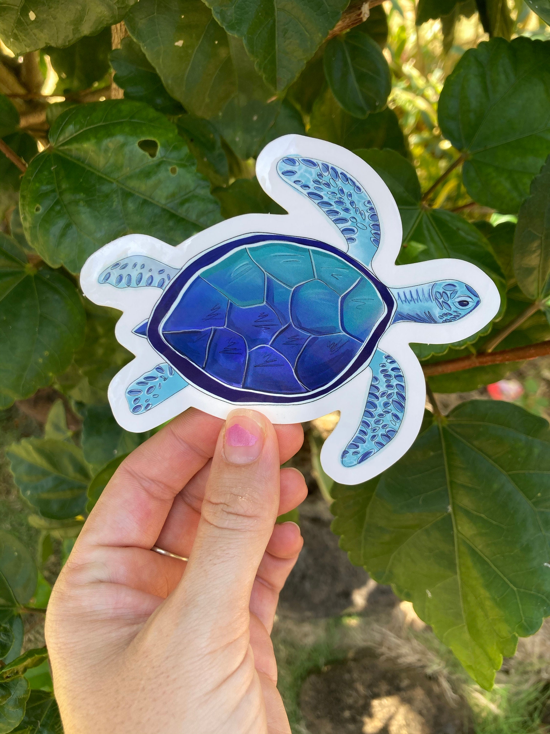 BLUE HONU STICKER Schildkröte Meeresschildkröte | Etsy