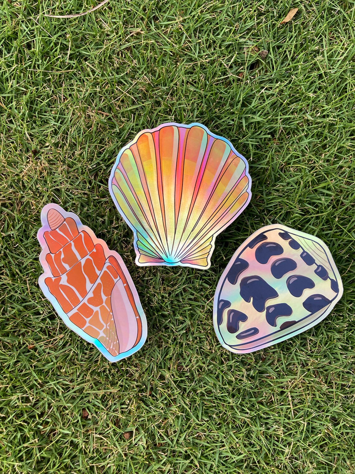 HAWAII SEASHELLS Sticker Pack - Etsy