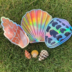 HAWAII SEASHELLS Sticker Pack - Etsy