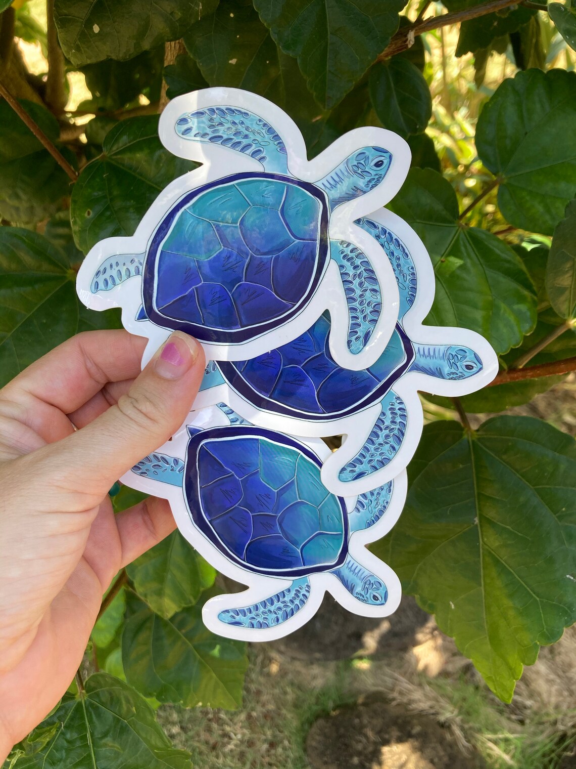 BLUE HONU STICKER Schildkröte Meeresschildkröte | Etsy