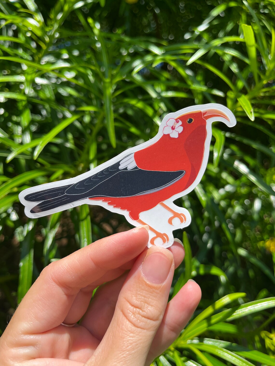 I'IWI BIRD Sticker - Etsy