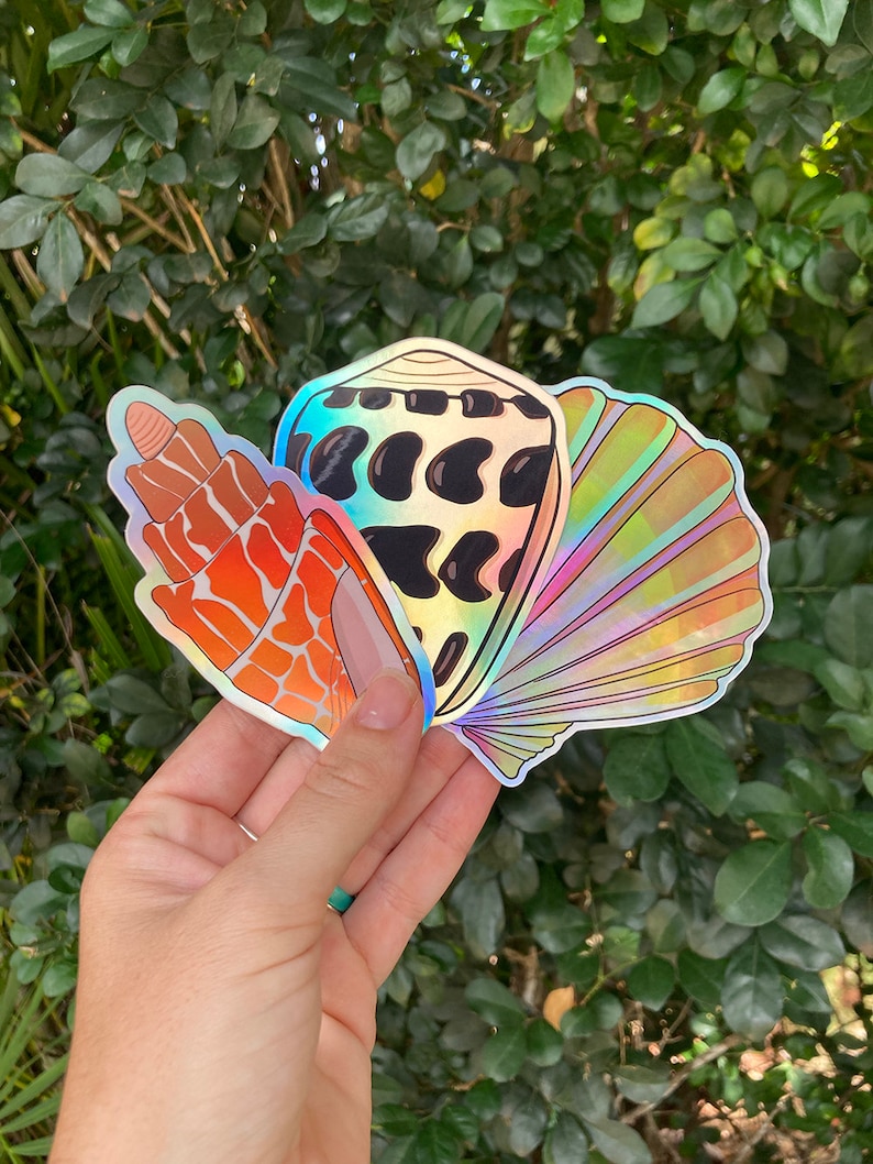 HAWAII SEASHELLS Sticker Pack - Etsy