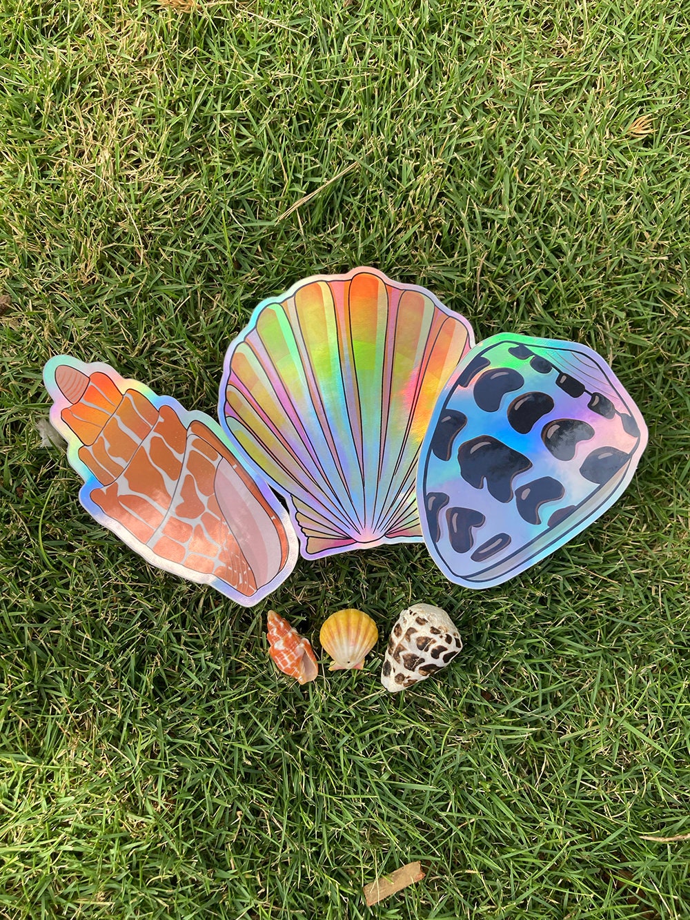 HAWAII SEASHELLS Sticker Pack - Etsy