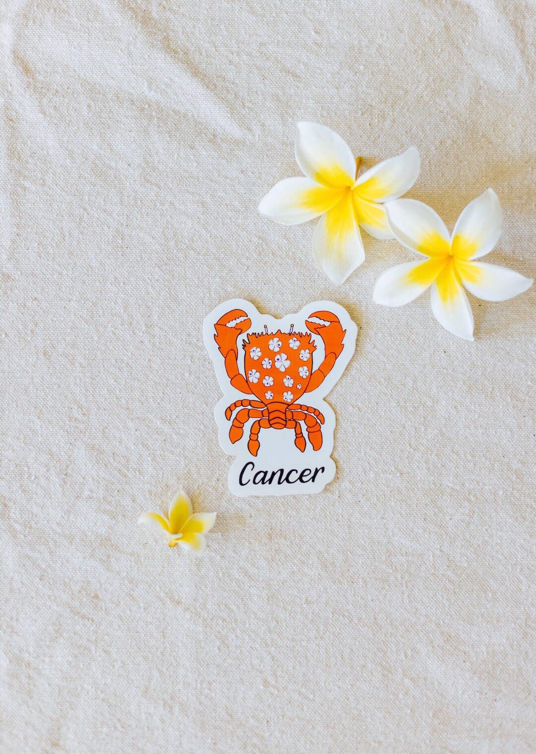 CANCER STICKER, Zodiac, Star Sign, Sticker, Crab - Etsy