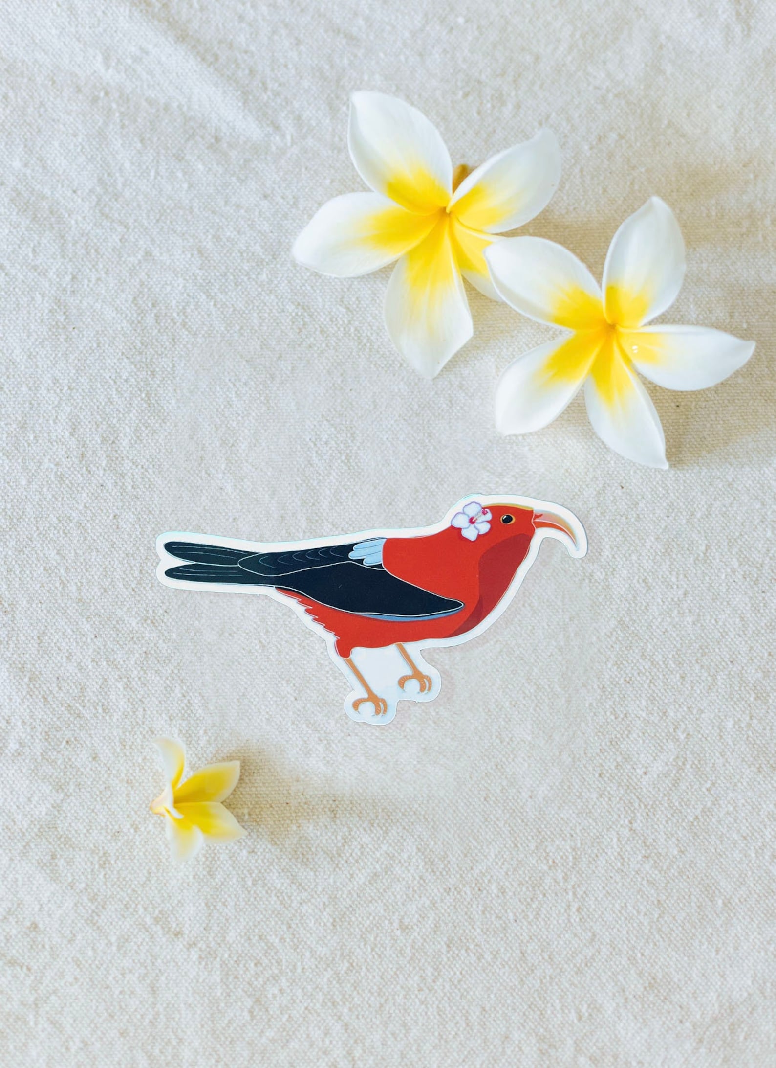 I'IWI BIRD Sticker - Etsy