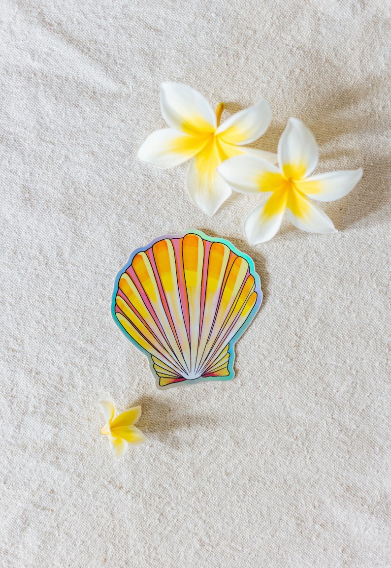 HAWAII SEASHELLS Sticker Pack - Etsy