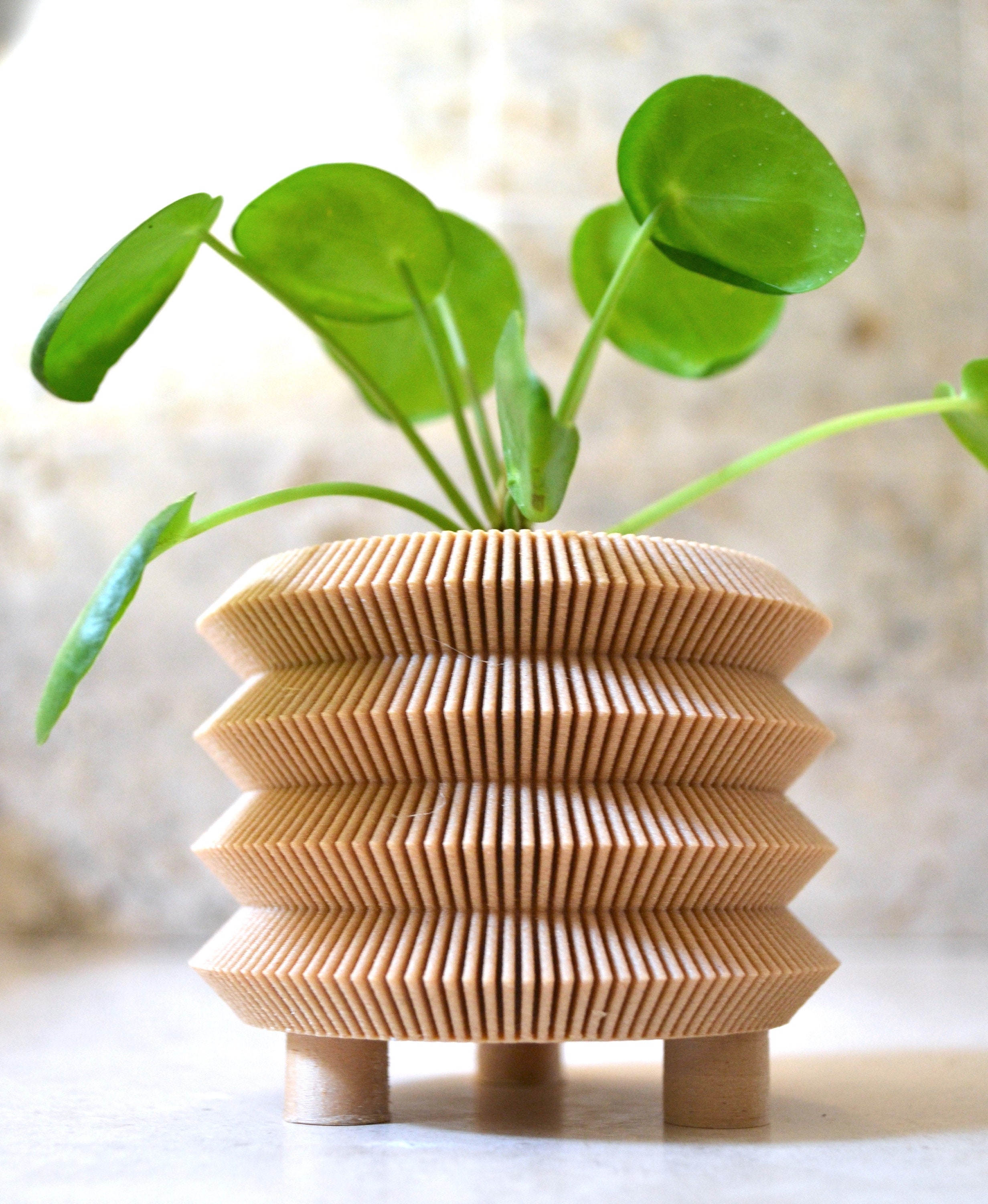 Wood Japanese "pagoda" Planter Natural Wood Finisjh - Etsy