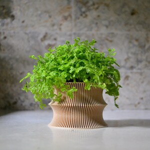 Wooden Planter curvy Mid Century Planter | Etsy