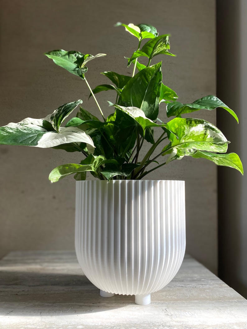 Indoor Planter "white Bowl" off White Matte - Etsy