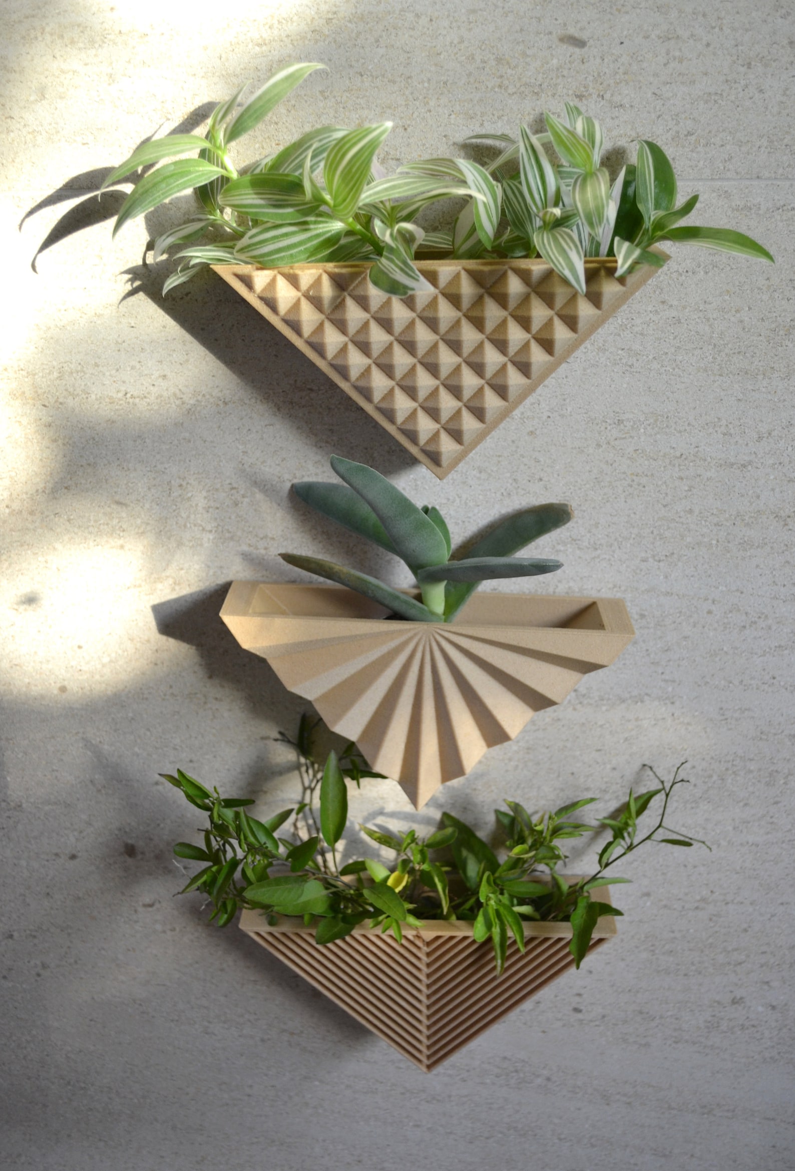 Modern Triangle Set of 3 Wall Planter Natural Wood Finish - Etsy