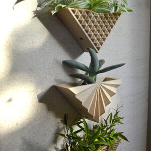 Modern Triangle Set of 3 Wall Planter Natural Wood Finish - Etsy