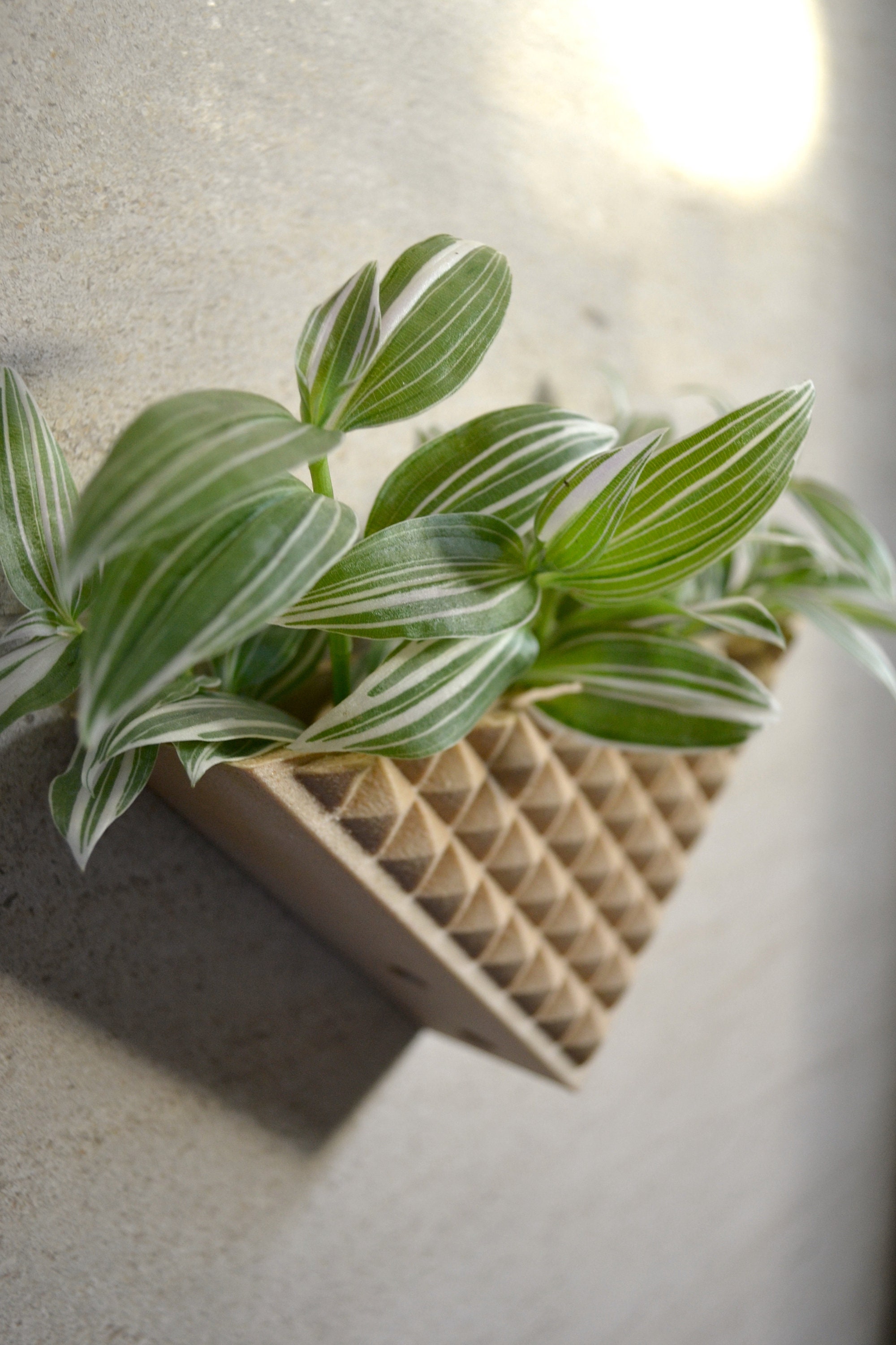 Boho Wall Triangle Planter PRISMATIC in Wood | Etsy