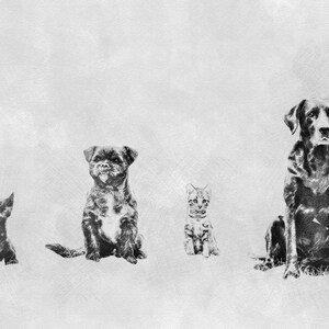 Custom Multiple Pet Portrait From Multiple Photos Dog - Etsy
