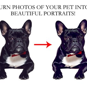 Dog Wedding Table Numbers, Custom Pet Table Numbers, Dog Wedding ...