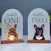 Dog Wedding Table Numbers, Custom Pet Table Numbers, Dog Wedding ...
