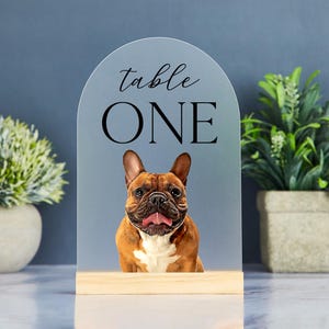 Dog Wedding Table Numbers, Custom Pet Table Numbers, Dog Wedding ...