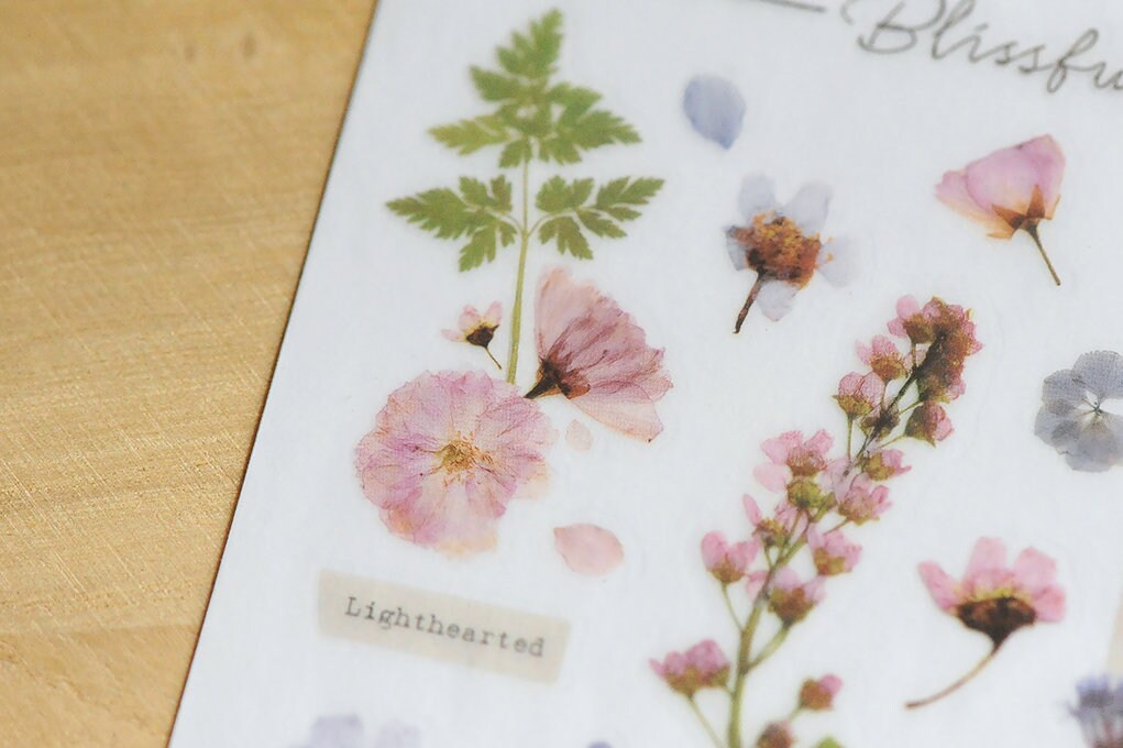MU Print-on Stickers No.104: Pressed Flowers 2 Designs/packet | Etsy