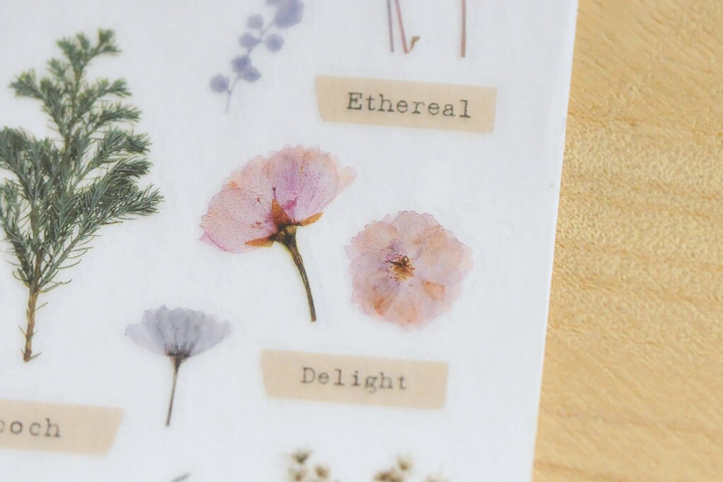 MU Print-on Stickers No.104: Pressed Flowers 2 Designs/packet | Etsy