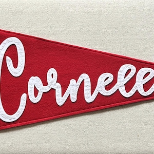 Custom College Pennant Flag – Personalized School Banner | Dorm Room ...