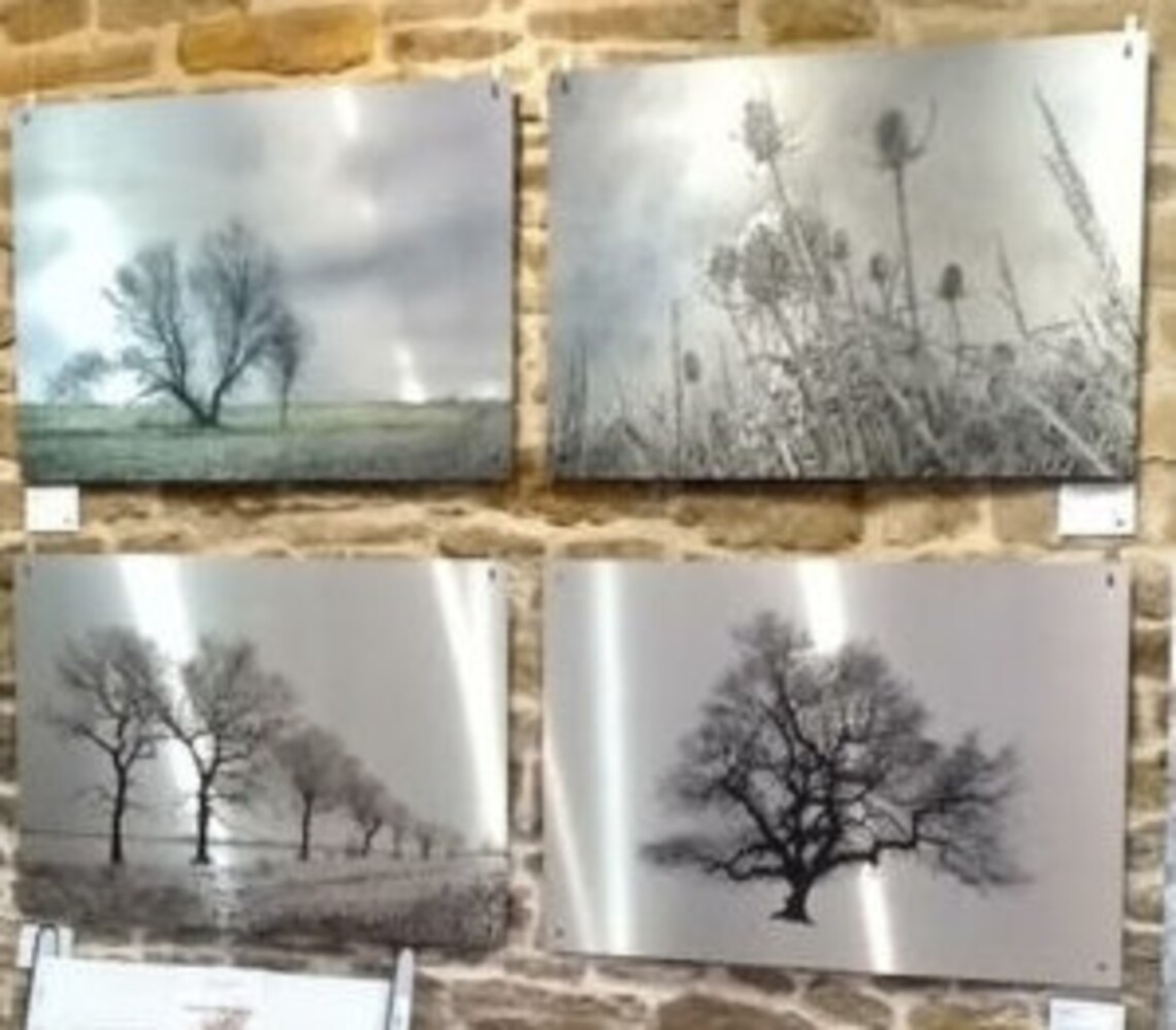 Chromaluxe Aluminum Wall-mounted Photo Panels - Etsy