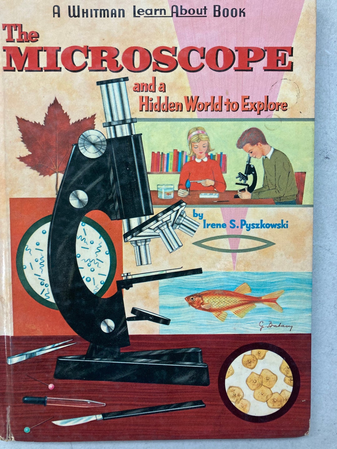 The Microscope and A Hidden World to Explore A 1963 Whitman Learn About ...