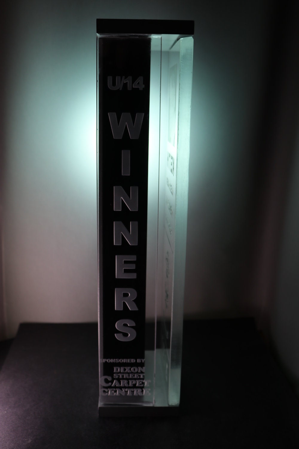 Heavy Etched Glass Trophy Custom Memorial Trophy Premium Optiwhite ...