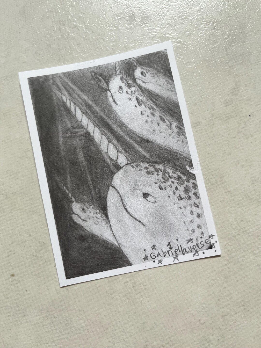 Narwhal Pod Illustration, Art Print, Pencil Drawing - Etsy