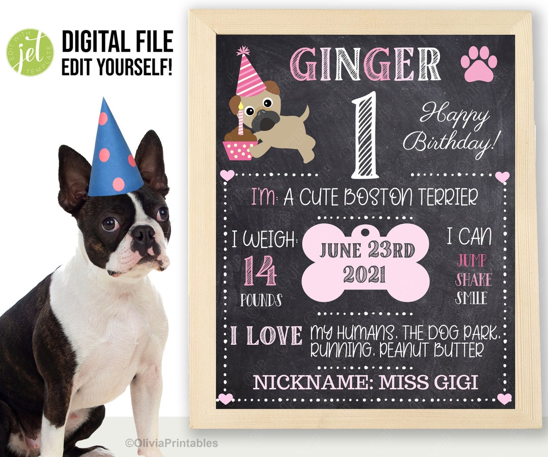 EDITABLE Dog Birthday Sign, Birthday Stats for Puppy Dog, Pet ...