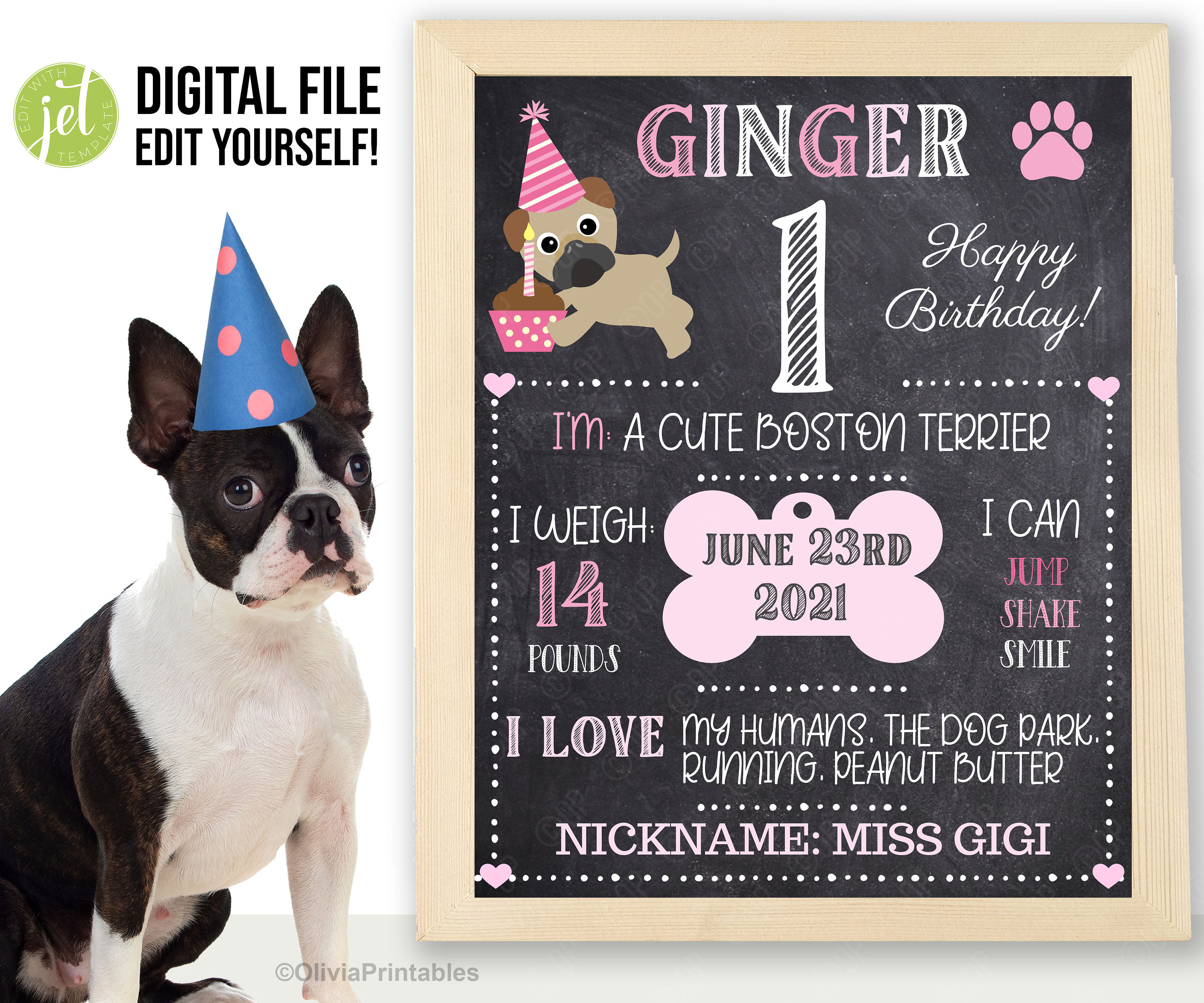 EDITABLE Dog Birthday Sign, Birthday Stats for Puppy Dog, Pet ...