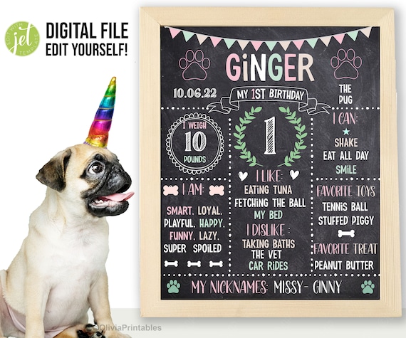 EDITABLE Pet Birthday Chalkboard Dog Birthday Sign Dog - Etsy