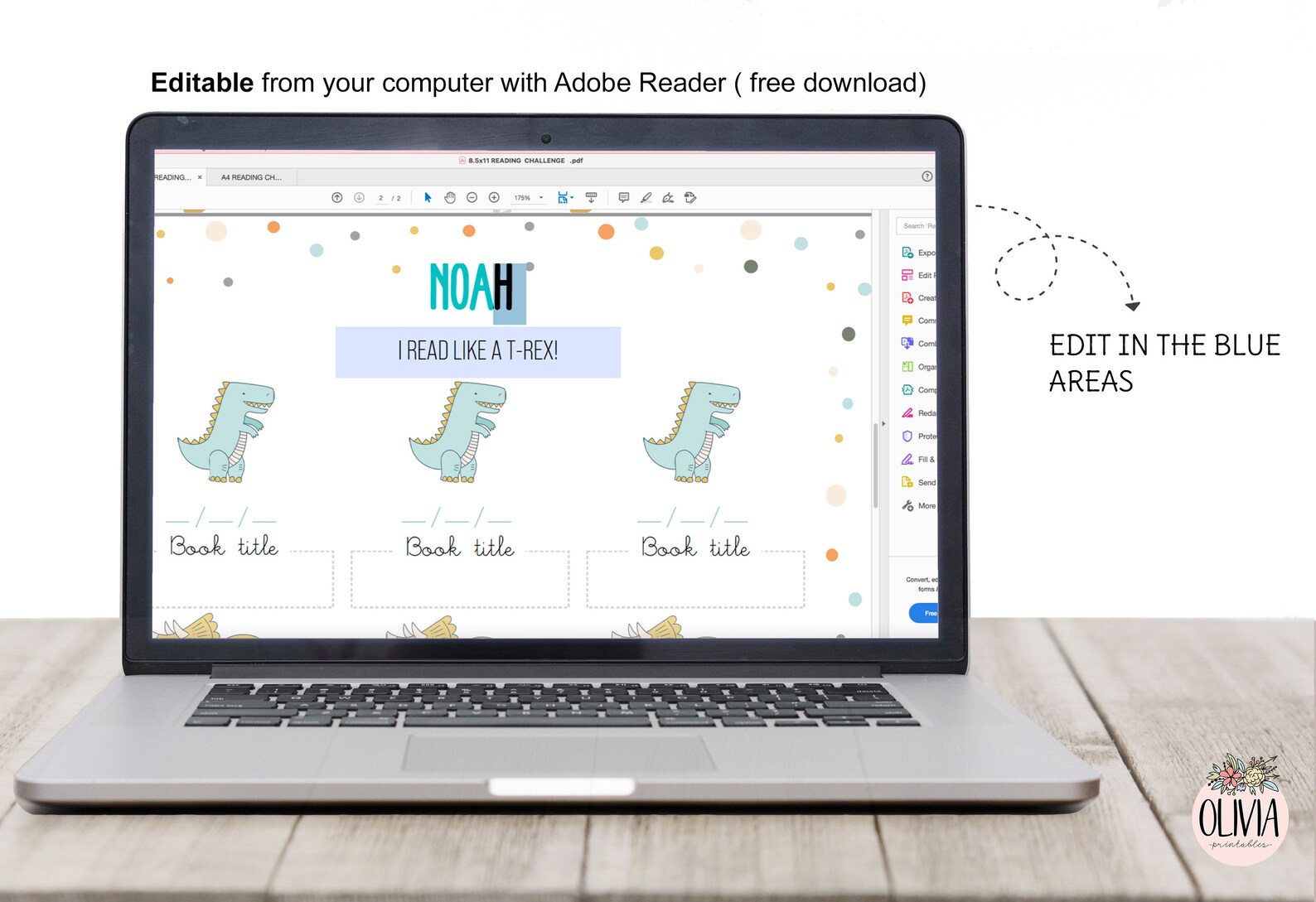 Printable Summer Reading Challenge, Editable Reading Tracker, 10 Books ...