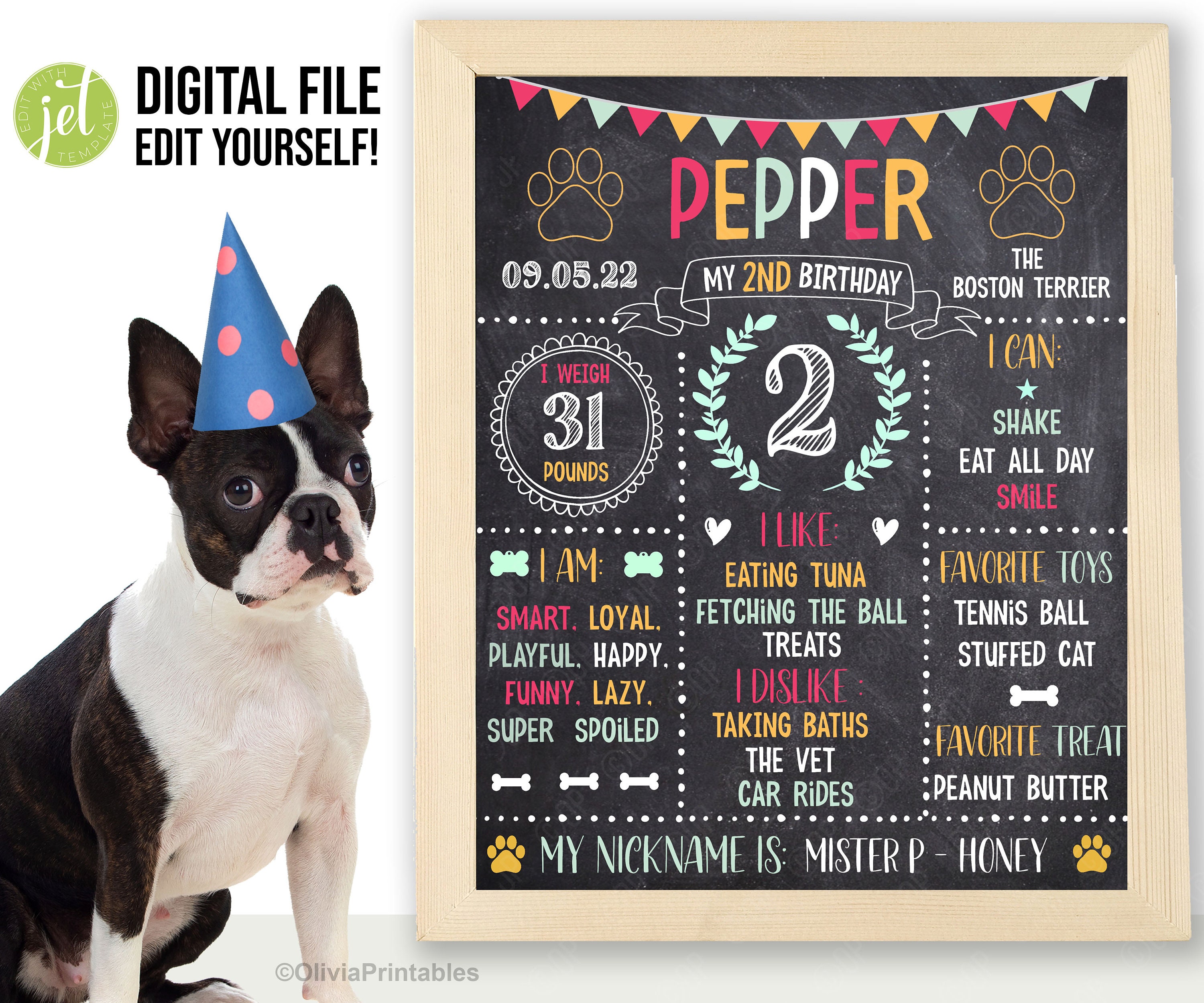 EDITABLE Pet Birthday Chalkboard, Dog Birthday Sign, Birthday Stats for ...
