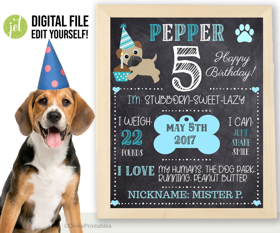 EDITABLE Pet Birthday Sign, Birthday Stats for Puppy Dog, Dog Milestone ...