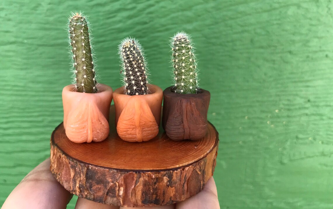 MICRO testicle pots/micro testicles/tiniest | Etsy